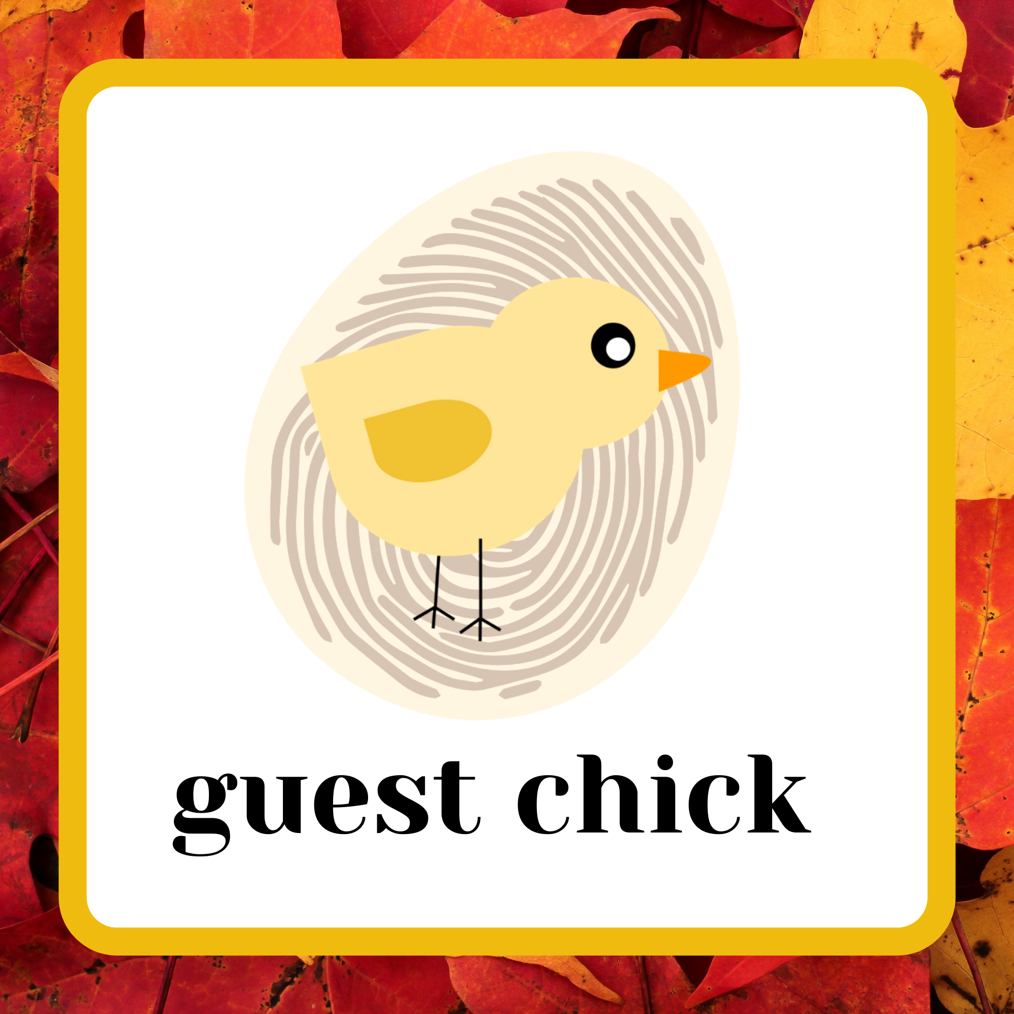 Chicks on the Case – Mystery writers with a killer sense of humor.