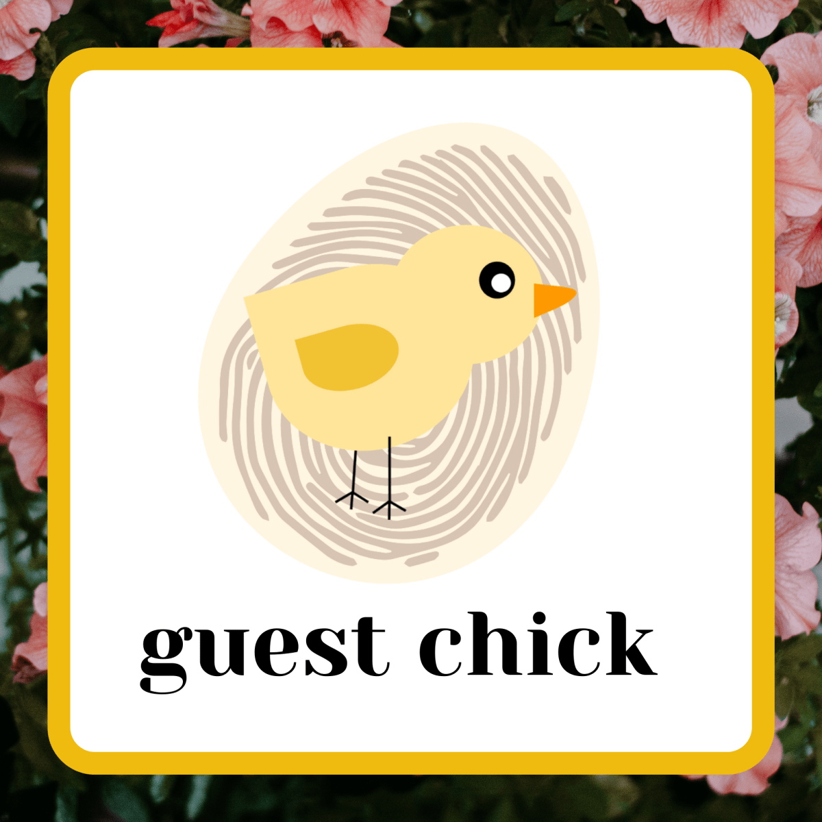 Guest Chick: Tracy Clark – Chicks on the Case