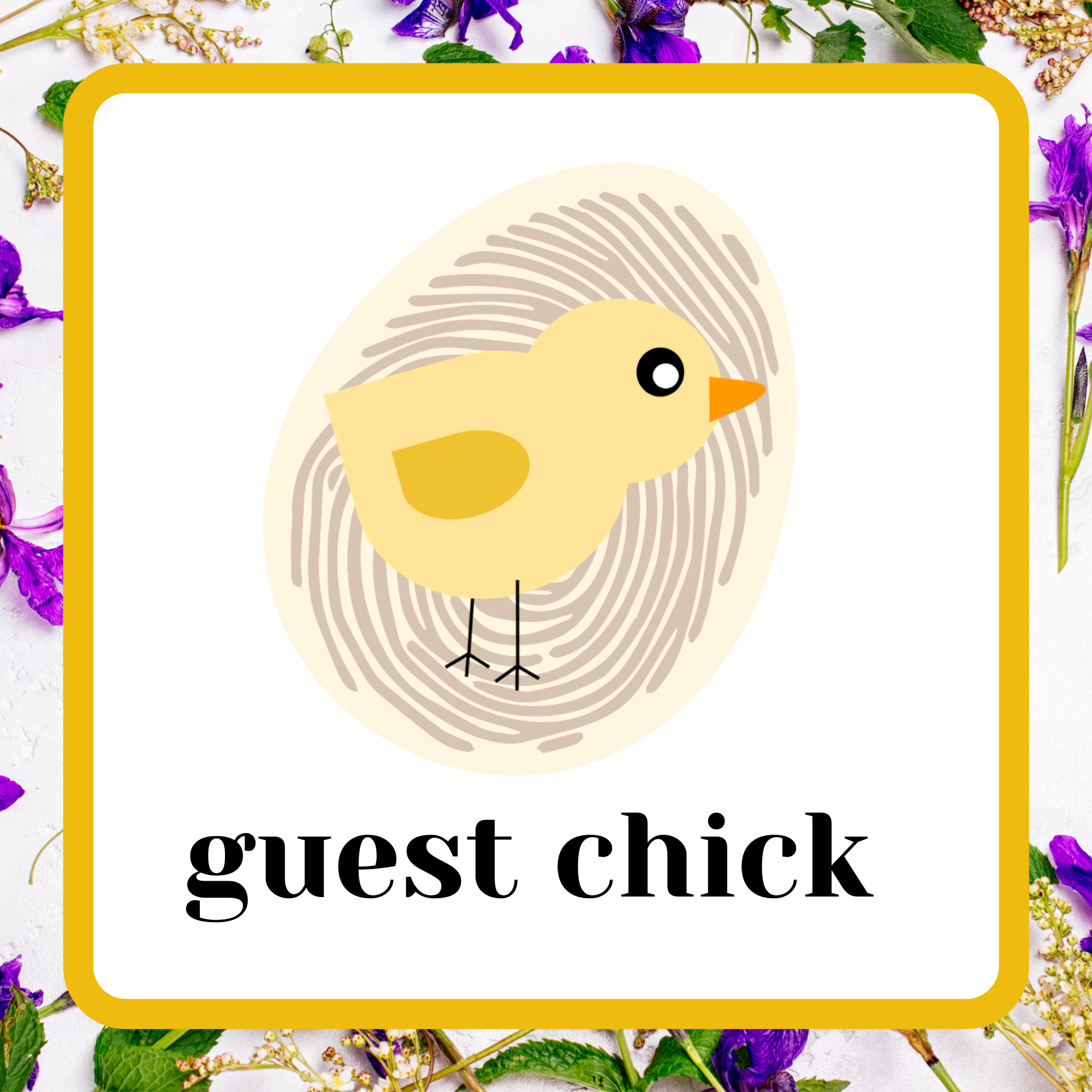 Chicks on the Case – Mystery writers with a killer sense of humor.