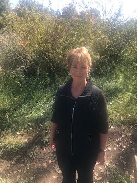 Guest Chick: Donnell Ann Bell – Chicks on the Case