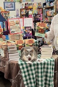 Bookstore cats – Chicks on the Case