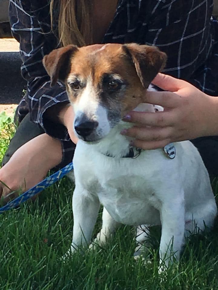 Chicks on the Case – Mystery writers with a killer sense of humor.